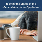 Holistic Stress Management – ALLEGRA Learning Direct